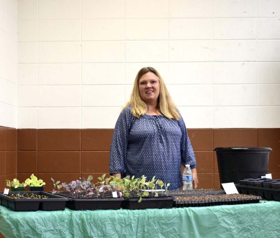 Start Plants from Seeds - Chilton County Master Gardeners | Alabama Cooperative Extension System ...