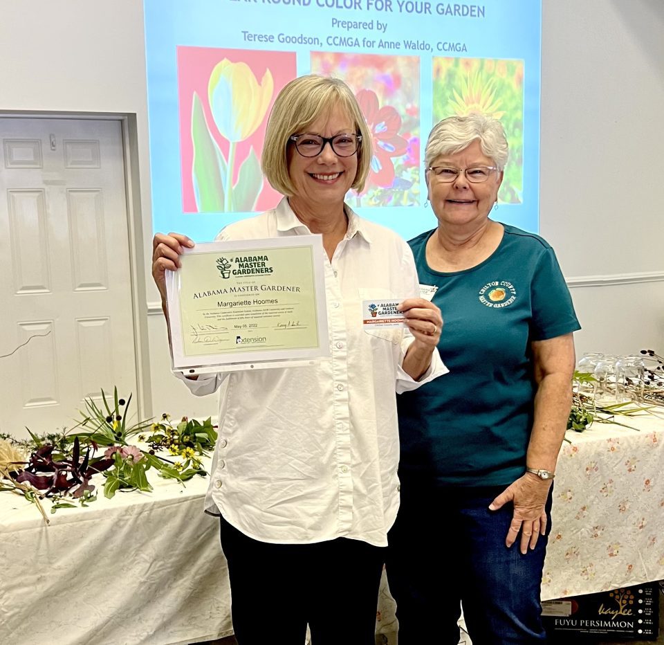 Color in the Garden Year Round - Chilton County Master Gardeners ...